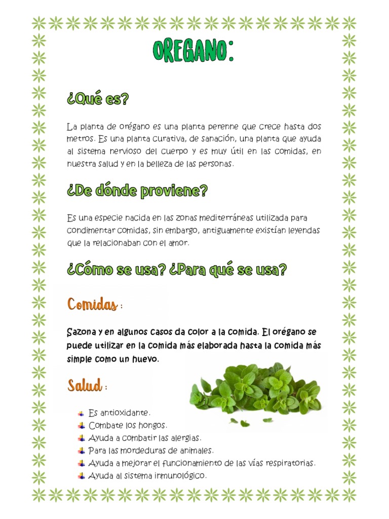 Oregano | PDF