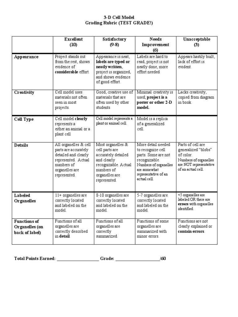 3-D Cell Model Grading Guide | PDF | Eukaryotes | Cell (Biology)