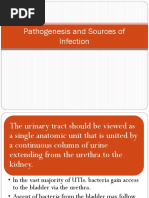UTI Pathophysiology Explained | PDF | Urinary Tract Infection | Urinary ...