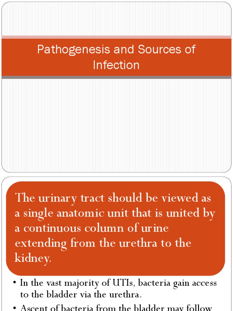 Pathogenesis and Sources of Infection | PDF | Urinary Tract Infection ...