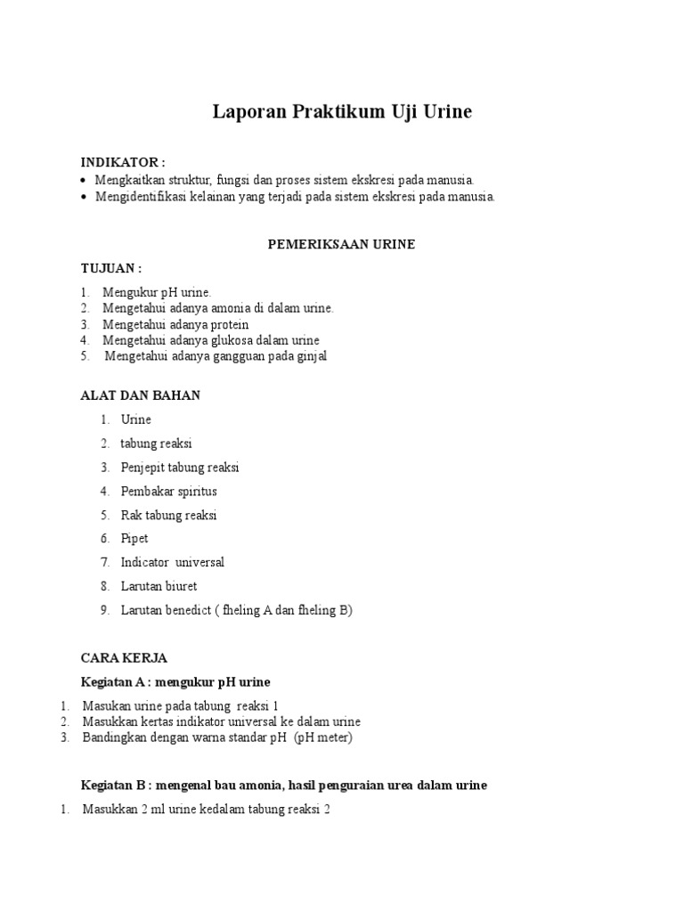 Laporan Praktikum Uji Urine | PDF