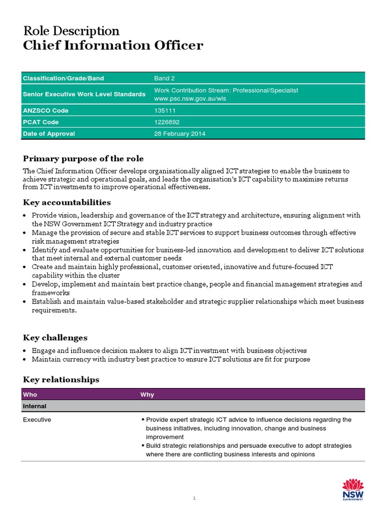 Chief Information Officer Role Overview | PDF | Chief Information ...