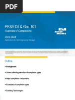 Defining Well Operating Envelope | PDF | Computers