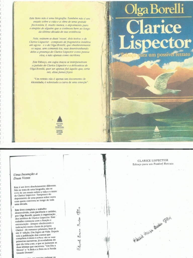 Olga Borelli - Clarice Lispector - Esboço para Um Possível Retrato ...