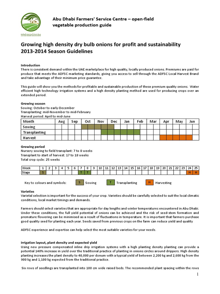 High-Yield Onion Production: A Guide to Achieving Premium Quality and Profits Through Efficient ...