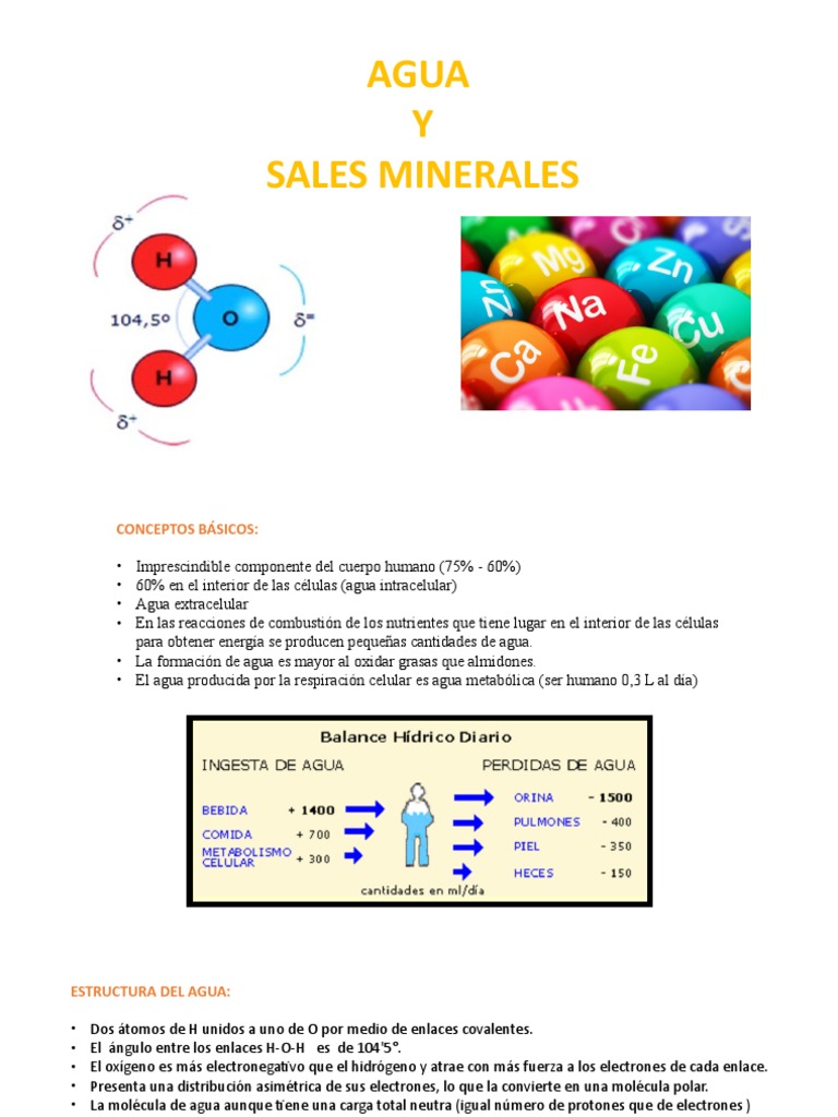 Agua Y Sales Minerales Pptx Propiedades Del Agua Hidrógeno