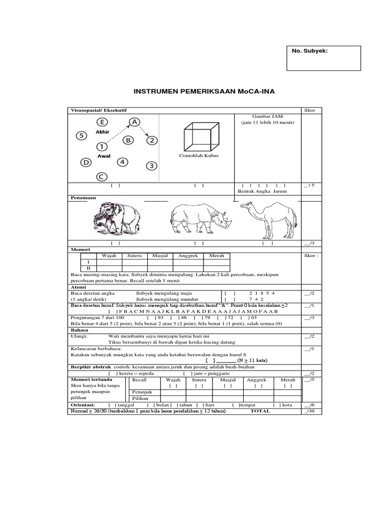 Instrumen Pemeriksaan Moca-Ina | PDF
