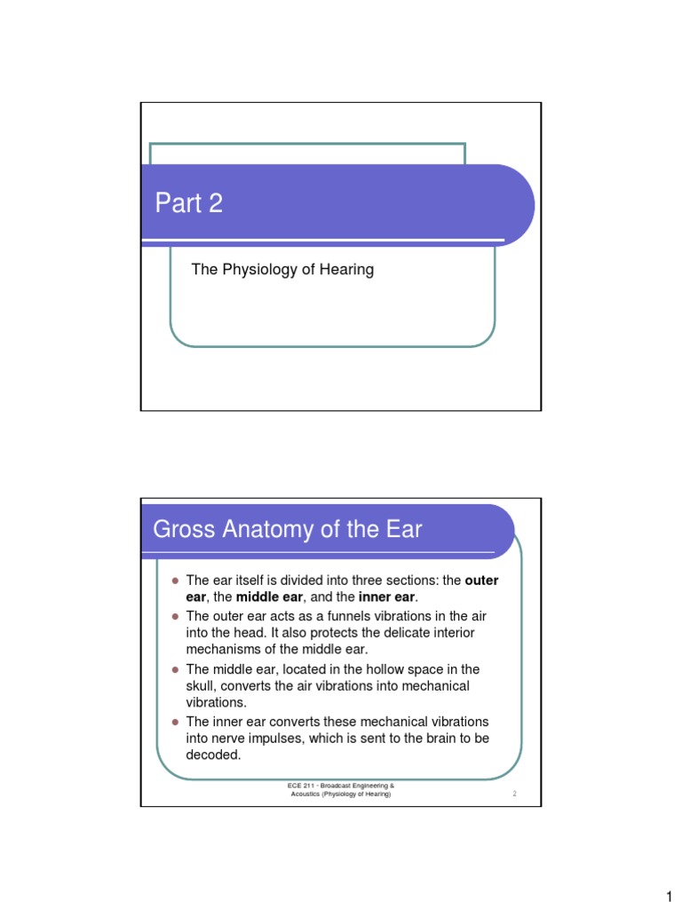 Part 2 - The Physiology of Hearing - Handout PDF | PDF | Ear | Hearing
