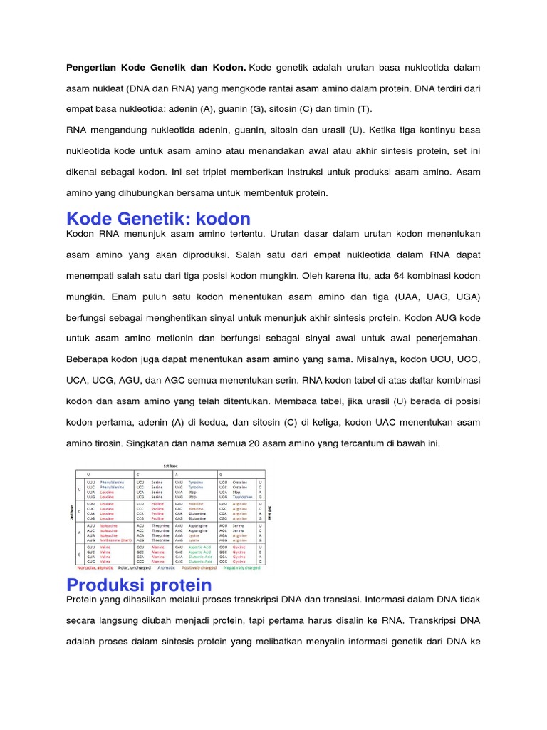 Pengertian Kode Genetik Dan Kodon | PDF
