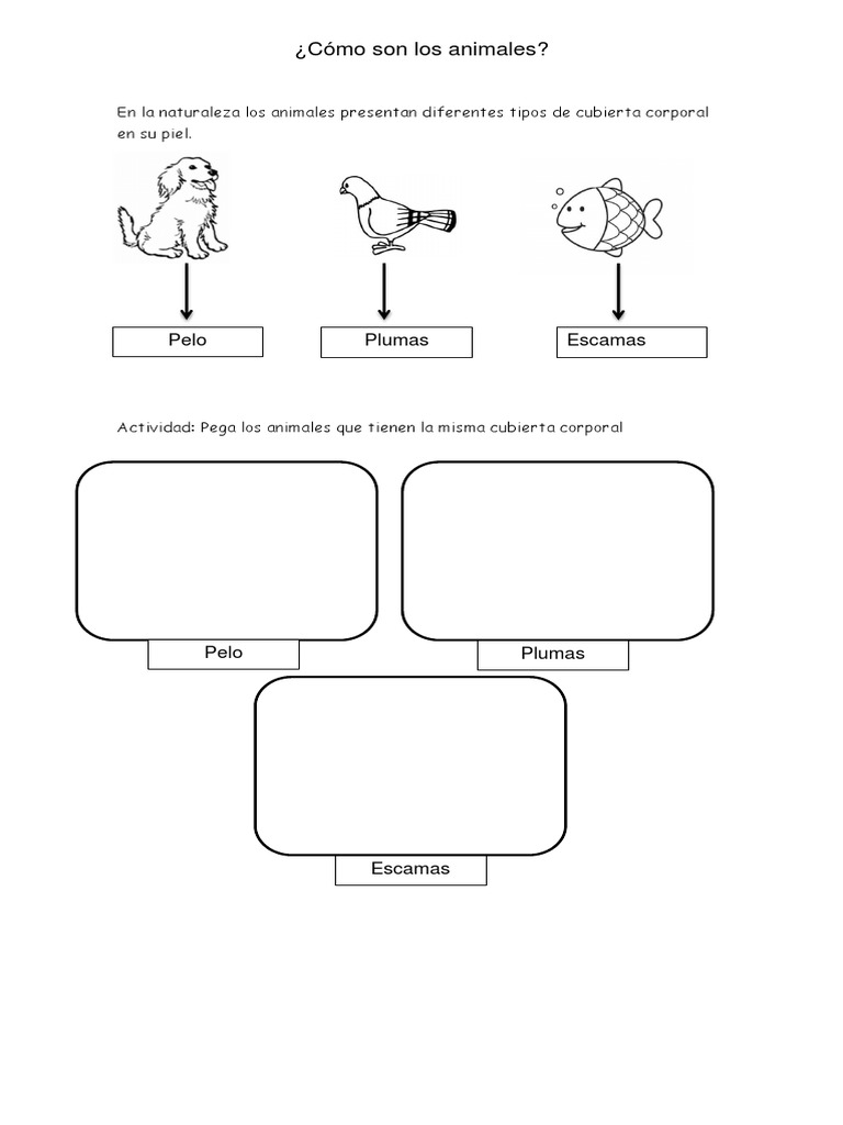 Guia de Ciencias Naturales Animales | PDF