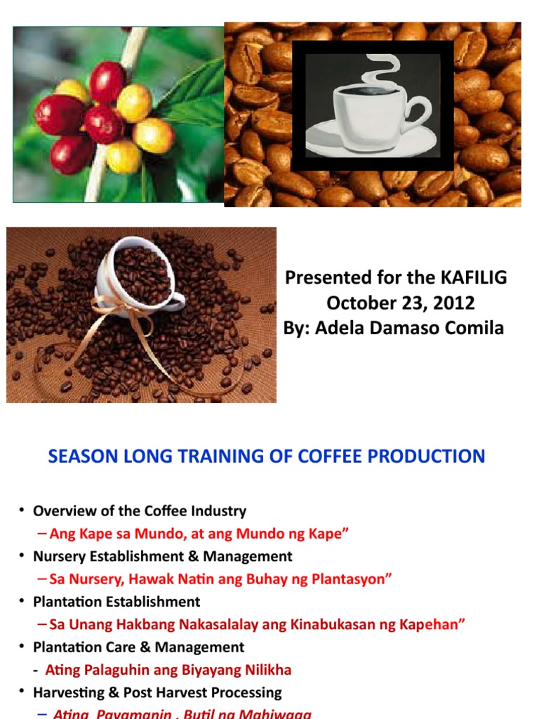 Coffee Training | Coffee | Plant Nursery