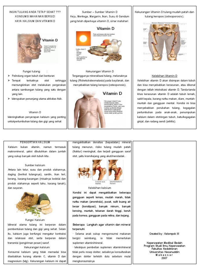 Leaflet Makanan Bergizi, Kalsium Dan Vit D | PDF