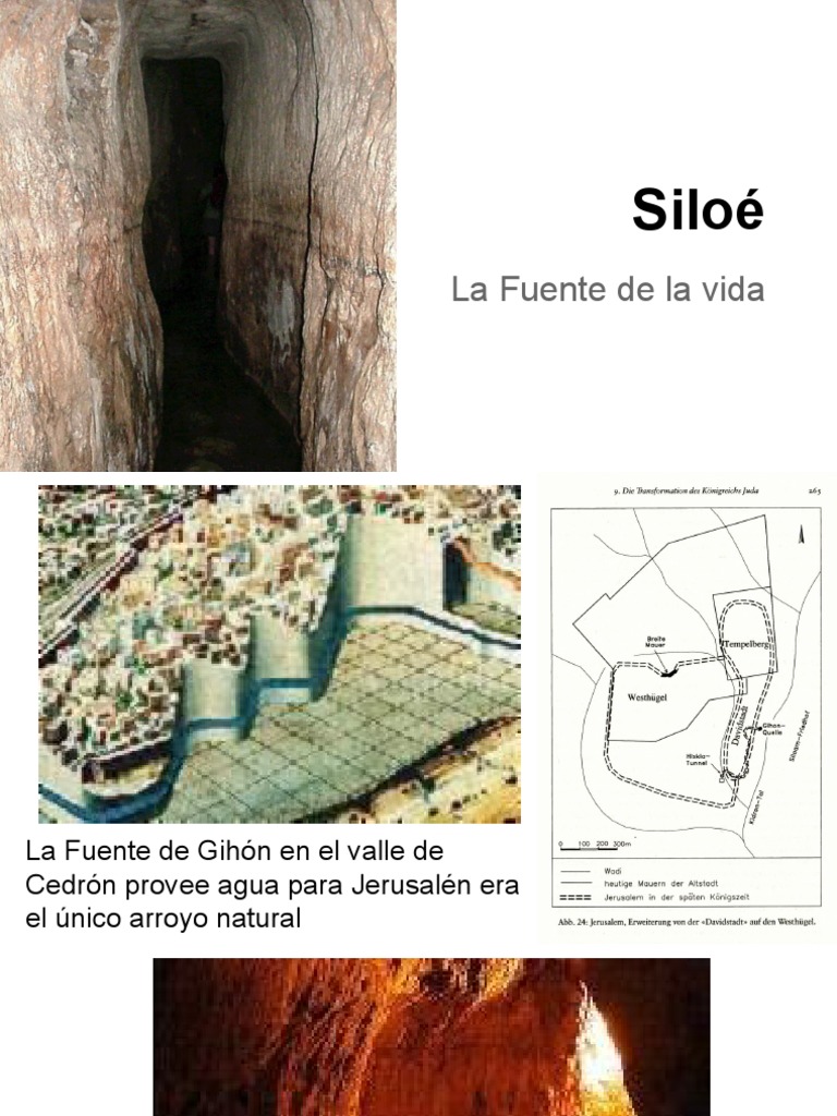 SILOE - Estudio - La Fuente | PDF