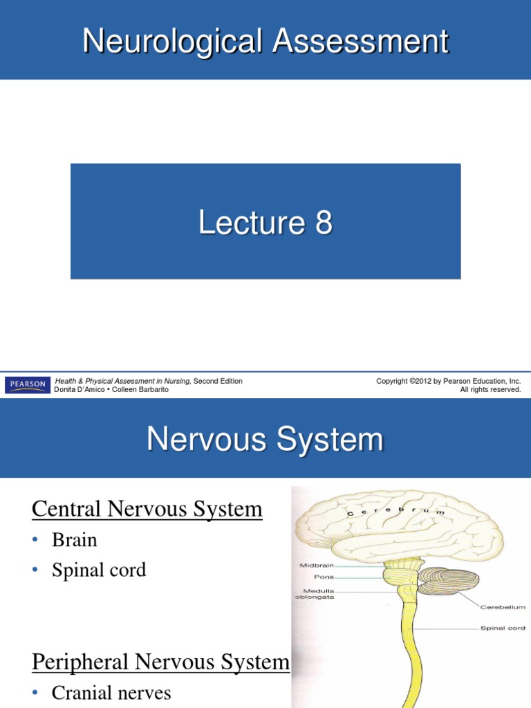 Neurological Assessment.ppt | Central Nervous System | Human Anatomy Neurological Assessment.ppt | Central Nervous System | Human Anatomy
