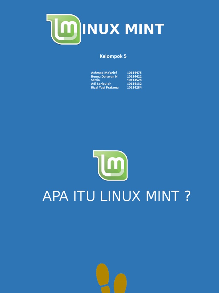 Panduan Instalasi Linux Mint Lengkap | PDF | Game & Aktivitas | Komputer