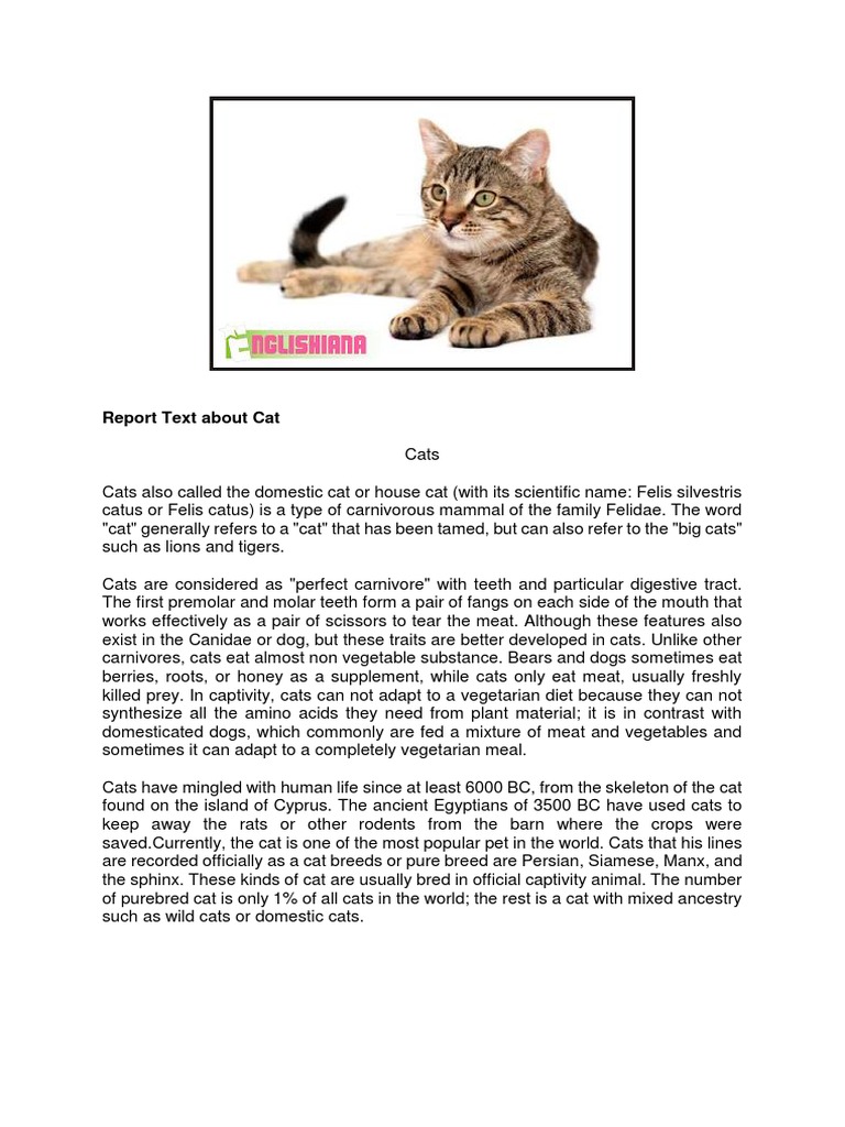 Manfaat Kali Ini Kita Akan Belajar Tentang Beberapa Contoh Report Text ...