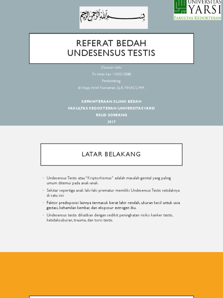 Referat Undesensus Testis | PDF