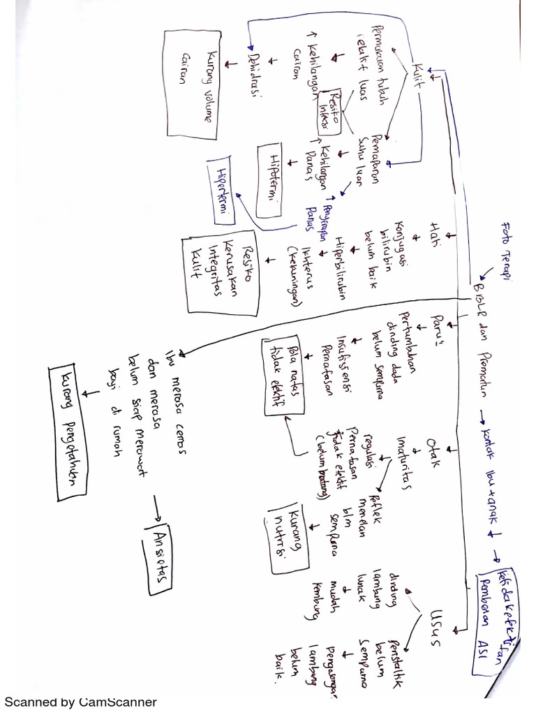 Patway BBLR - 1 | PDF
