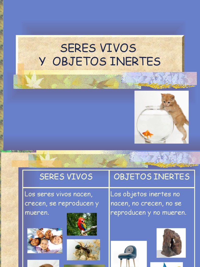 Los Seres Vivos y Objetos Inertes Primero | PDF