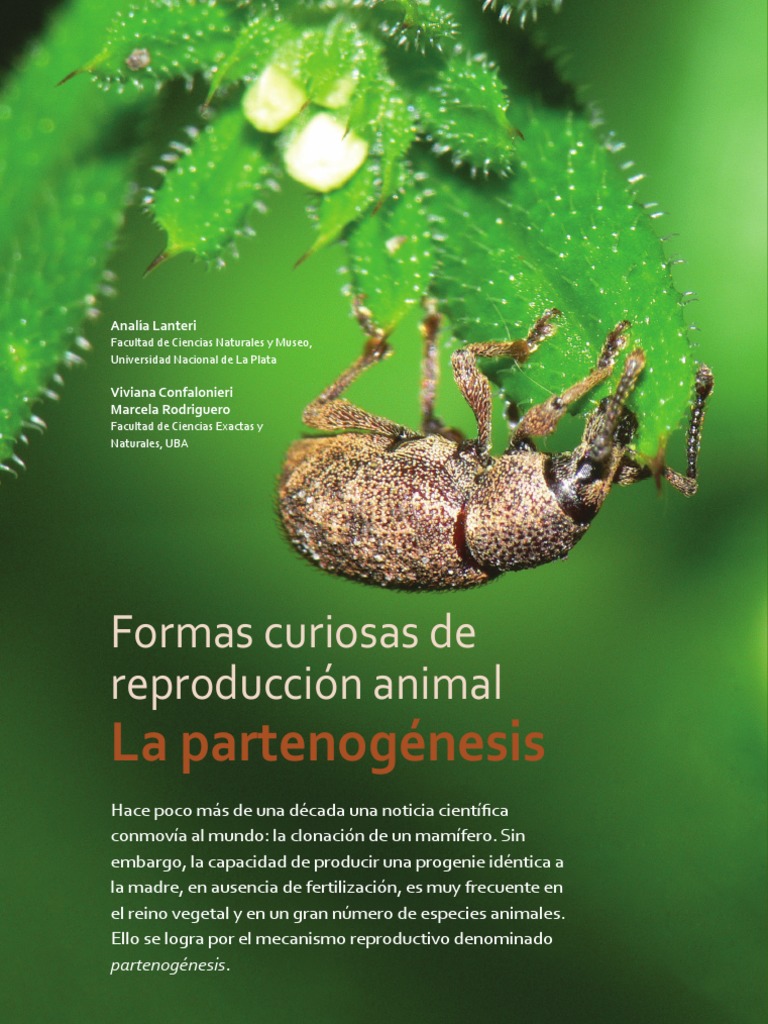 Partenogenesis.pdf | Meiosis | Reproducción