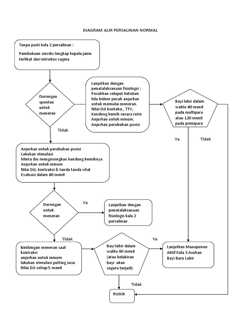Diagram Alir Persalinan Normal | PDF