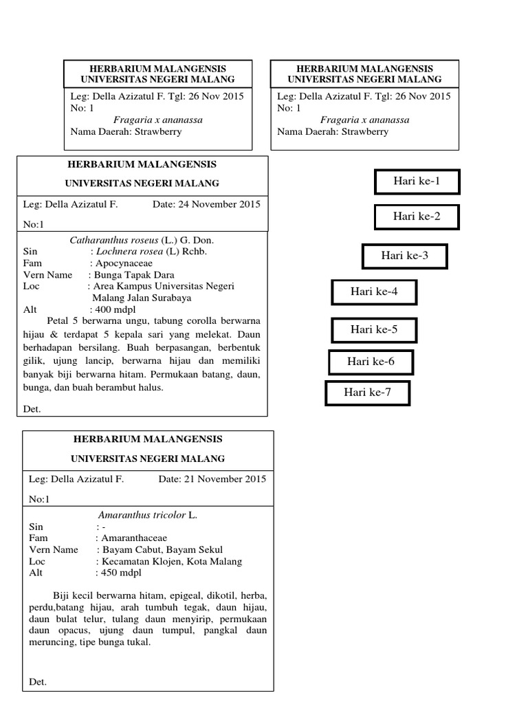 Label Herbarium | PDF