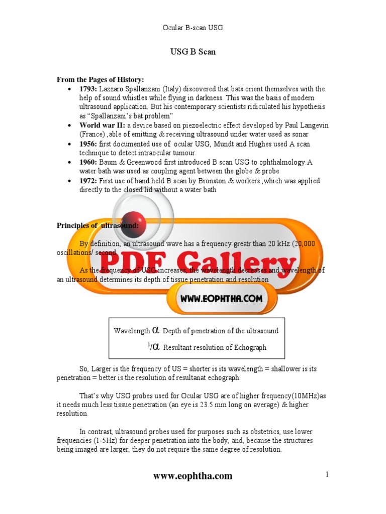 Usg B SCAN | PDF | Ultrasound | Human Eye