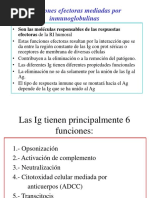 CAPÍTULO 17 - Prurigo Por Insectos (Cimiciasis) | PDF | Insecticida ...
