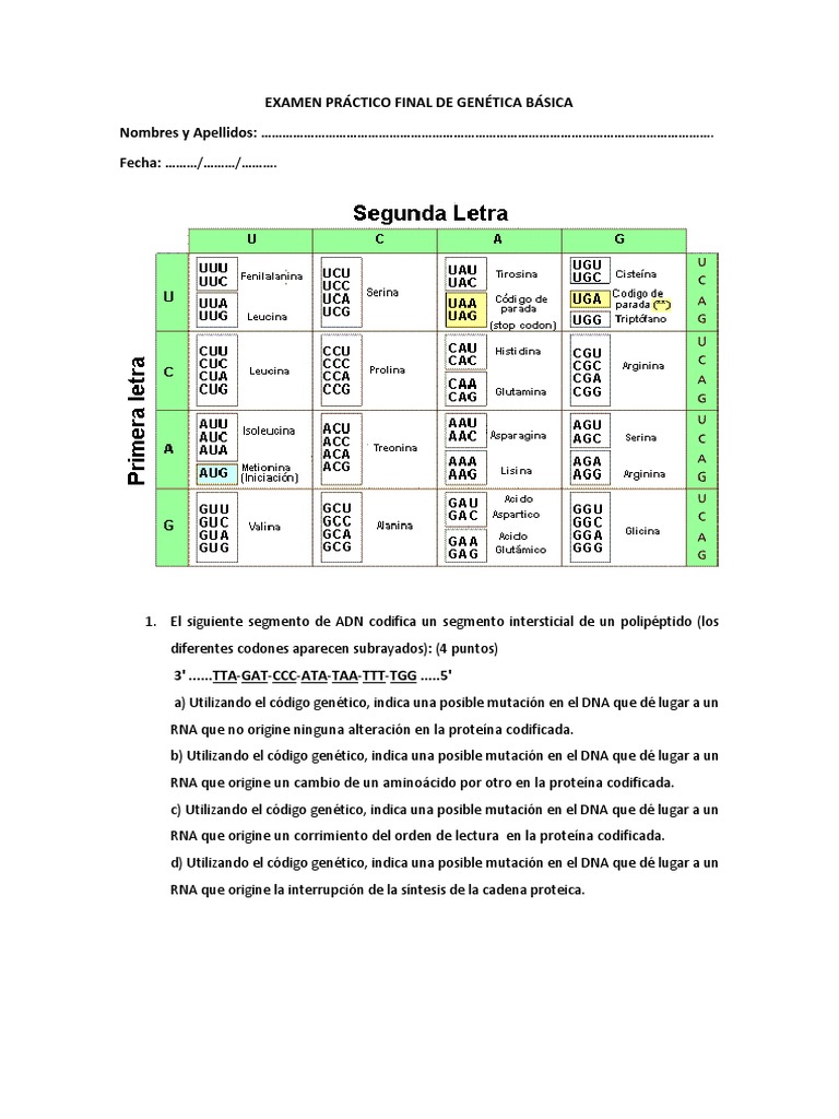 Examen Práctico de Genética Básica | PDF | Codigo genetico | Heredabilidad