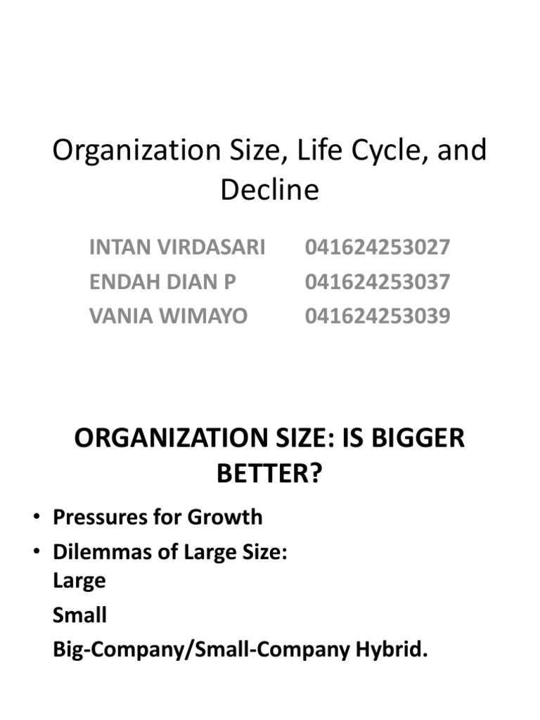 Organization Size and Life Cycle Stages | PDF