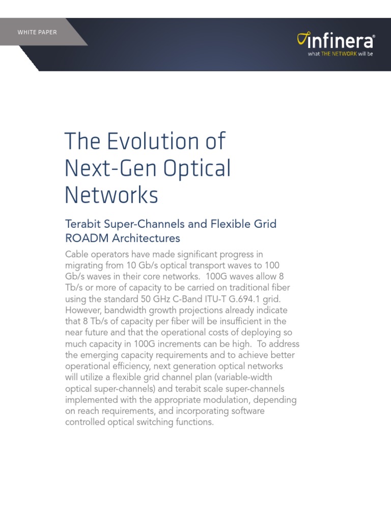 The Evolution of Next-Gen Optical Networks | PDF | Wavelength Division ...