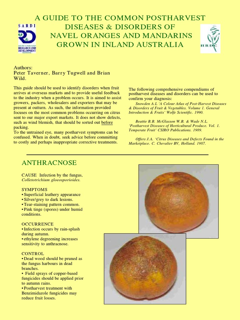 A Guide To The Common Postharvest Diseases and Disorders of Navel ...