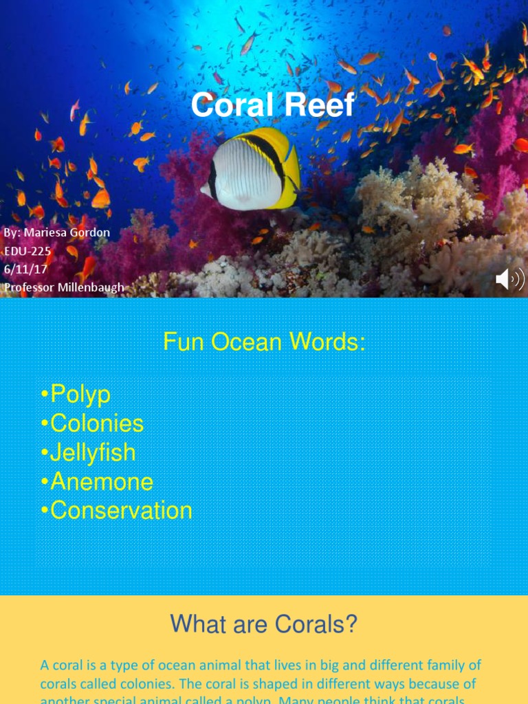 Coral Reefs: Animals and Conservation | PDF | Science & Mathematics