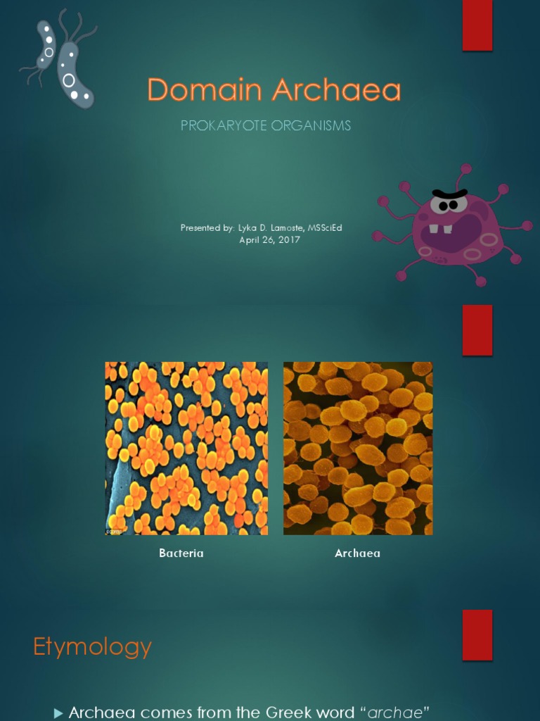 Domain Archaea (Shortened) | PDF | Archaea | Bacteria