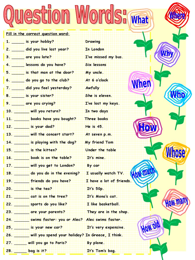 Question Words | PDF