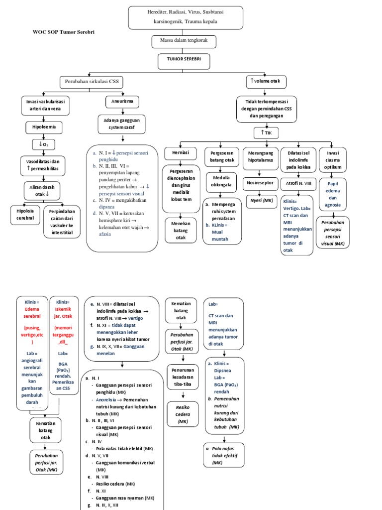 Pathway Sop Cerebry | PDF