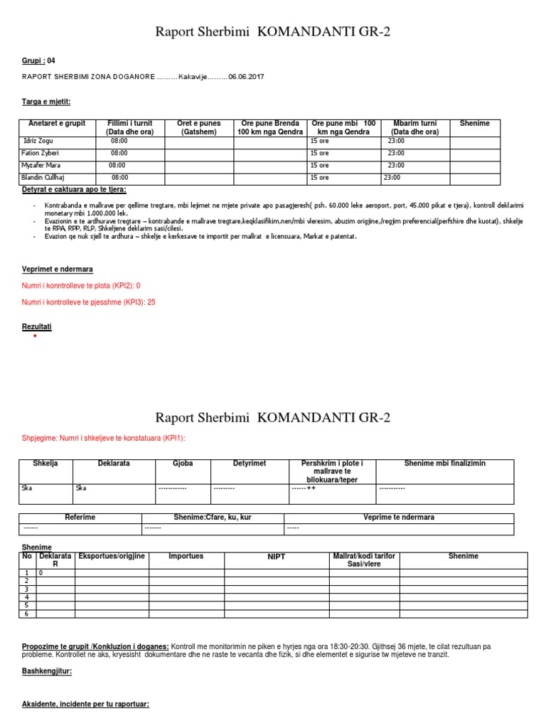 Format Raportimi Ditor PDF | PDF