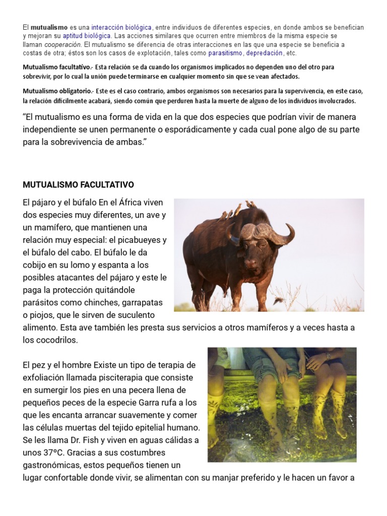 Relaciones Simbioticas | PDF | Depredación | Polinización