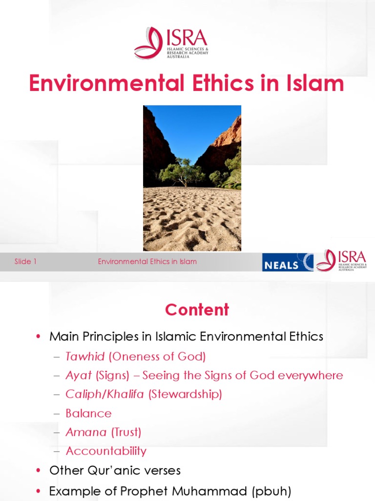 Environmental Ethics in Islam | Download Free PDF | Tawhid | Quran