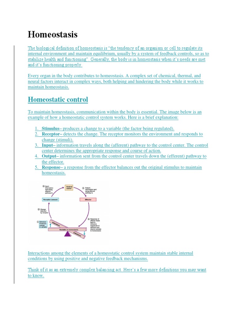 Homeostasis | PDF | Negative Feedback | Homeostasis