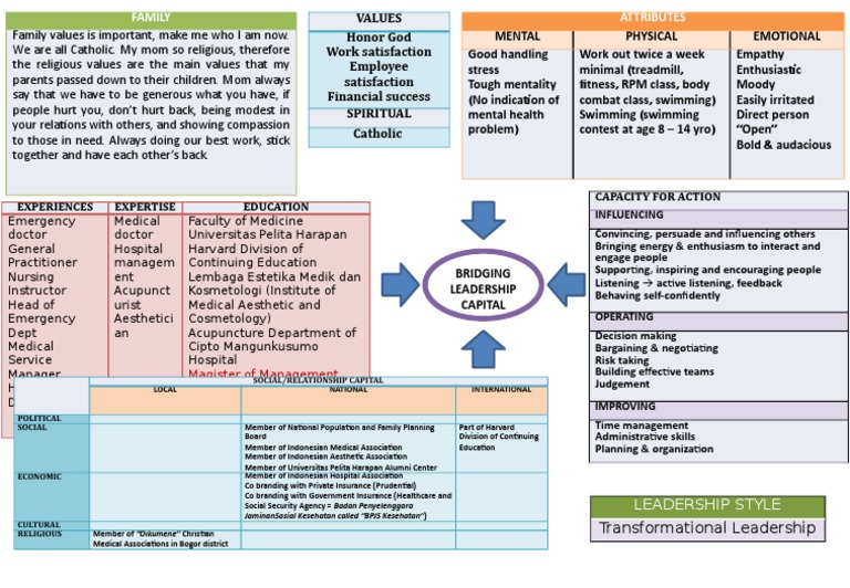 Developing Bridging Leadership Capital Worksheet | PDF | Medicine ...