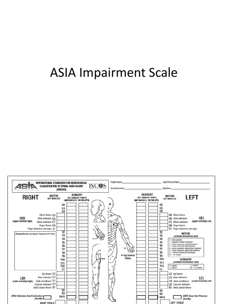 ASIA Impairment Scale | PDF | Spinal Cord | Pain