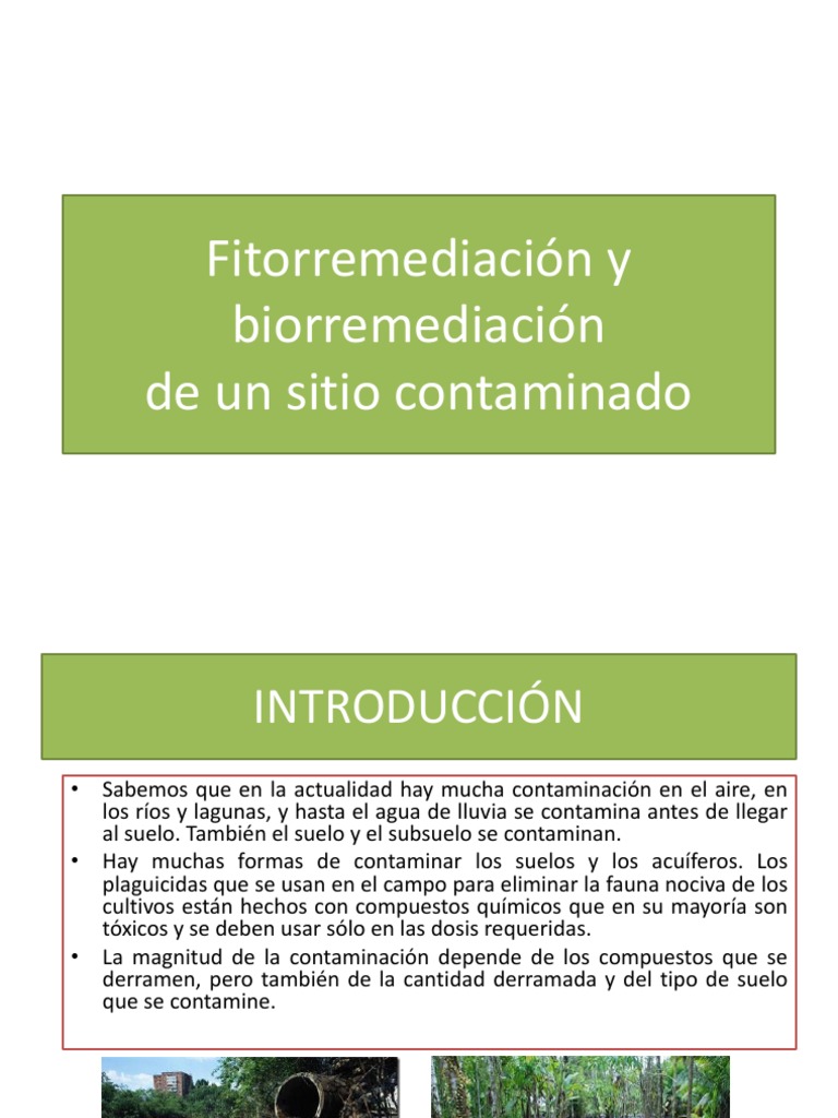 Biorremediación y Fitorremediación | PDF | Contaminación | Naturaleza