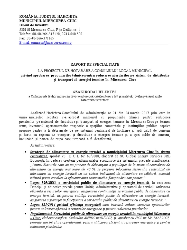 Raport de Specialitate | PDF