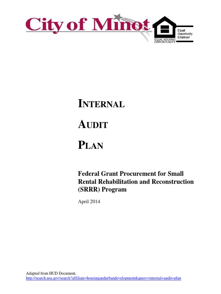 Internal Audit Plan Template PDF | PDF | Internal Audit | Audit