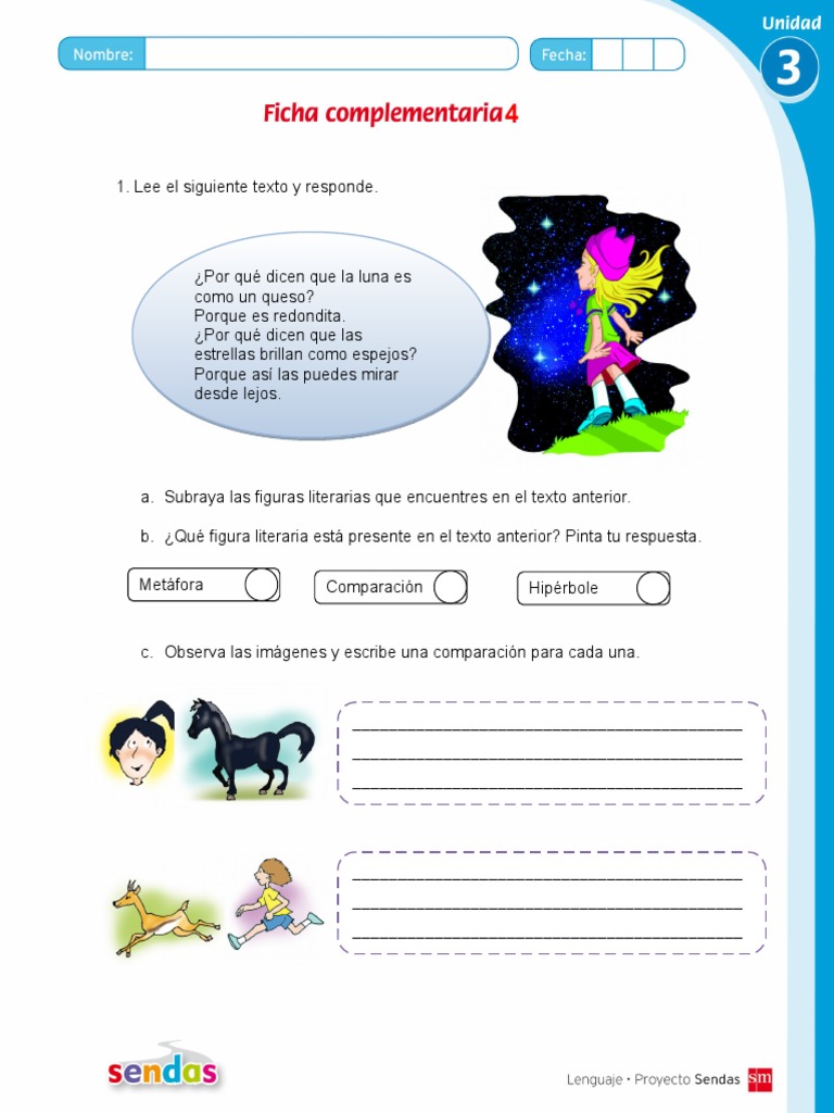 Ficha Complementaria 4 | PDF