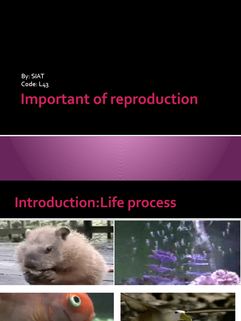 Important of Reproduction L43 | PDF | Science & Mathematics