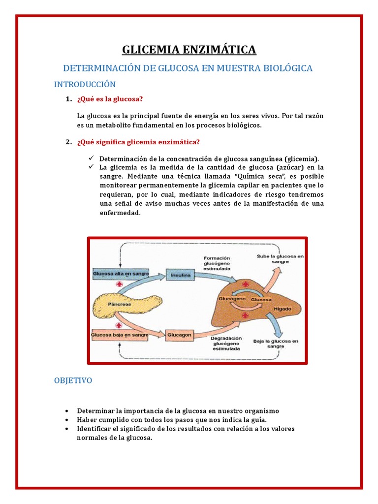 GLICEMIA-ENZIMÁTICA | Diabetes mellitus | Diabetes mellitus tipo 2