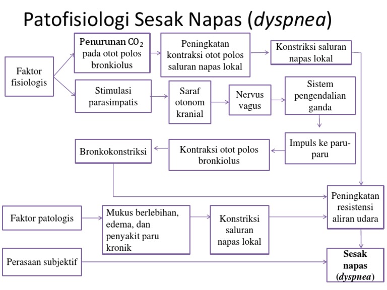 Patofisiologi Sesak Napas (Dyspnea)