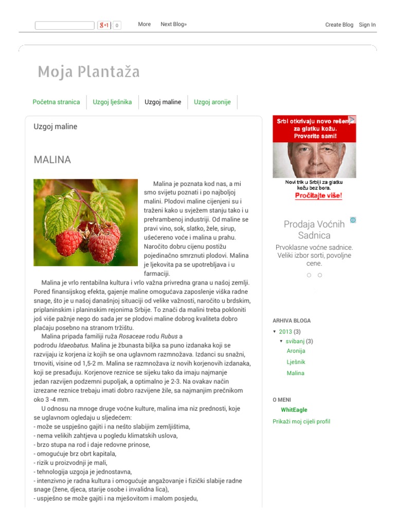 Uzgoj Maline | PDF